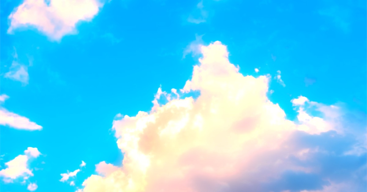 Bluesky gains traction as new Twitter competitor