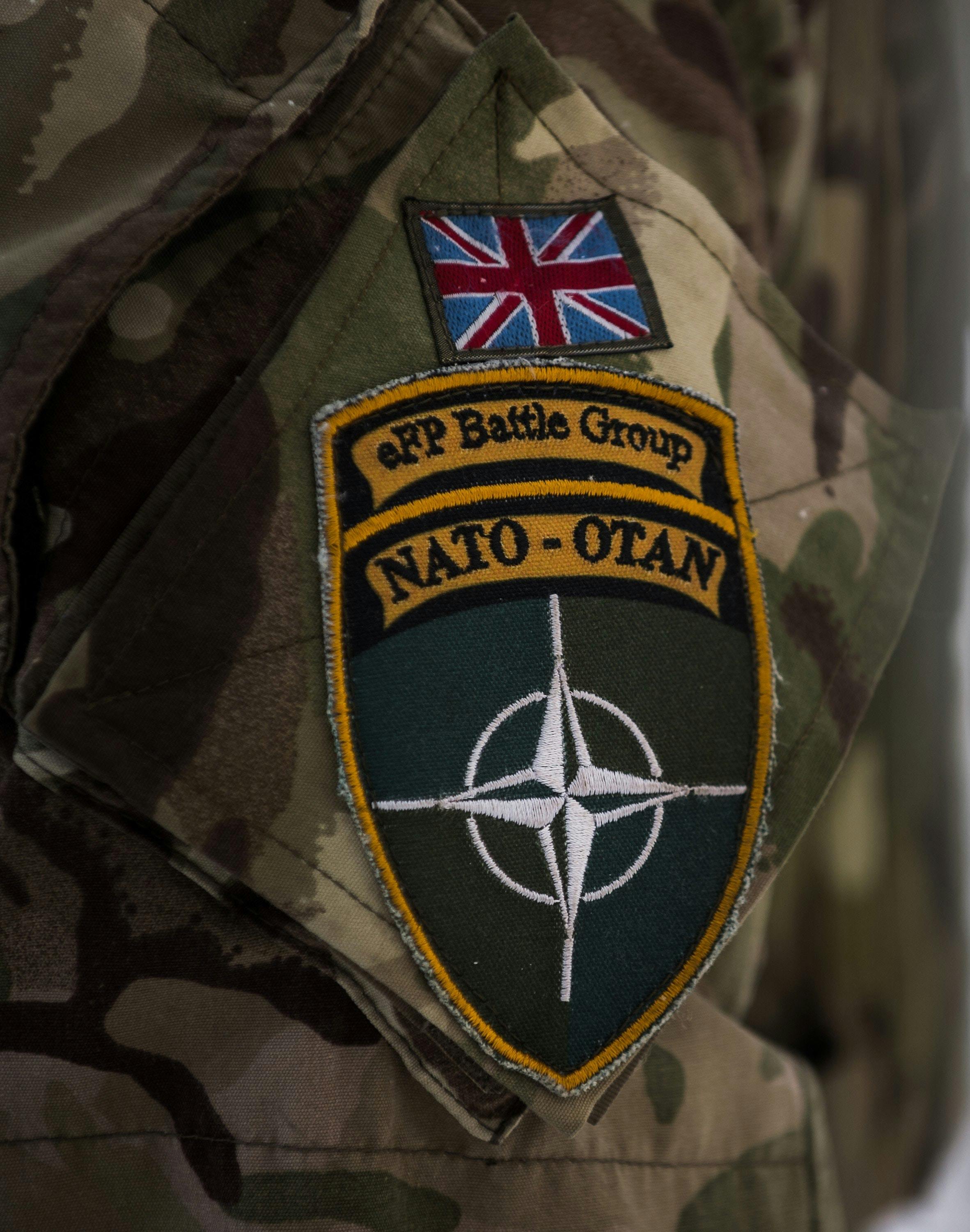 PICTURES: British Army supporting the NATO Enhanced Forward Presence ...
